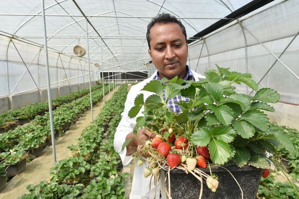 Home - Agroverse Limited